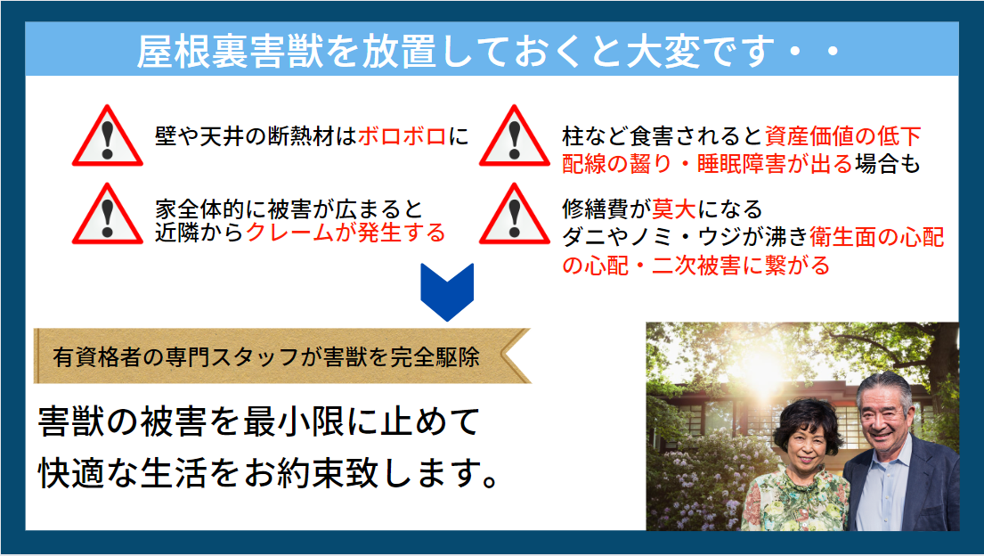 665544 | 株式会社プログラント